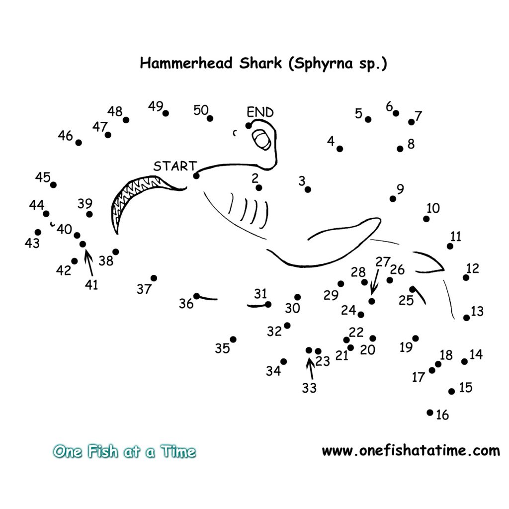 Connect the Dots - One Fish at a Time